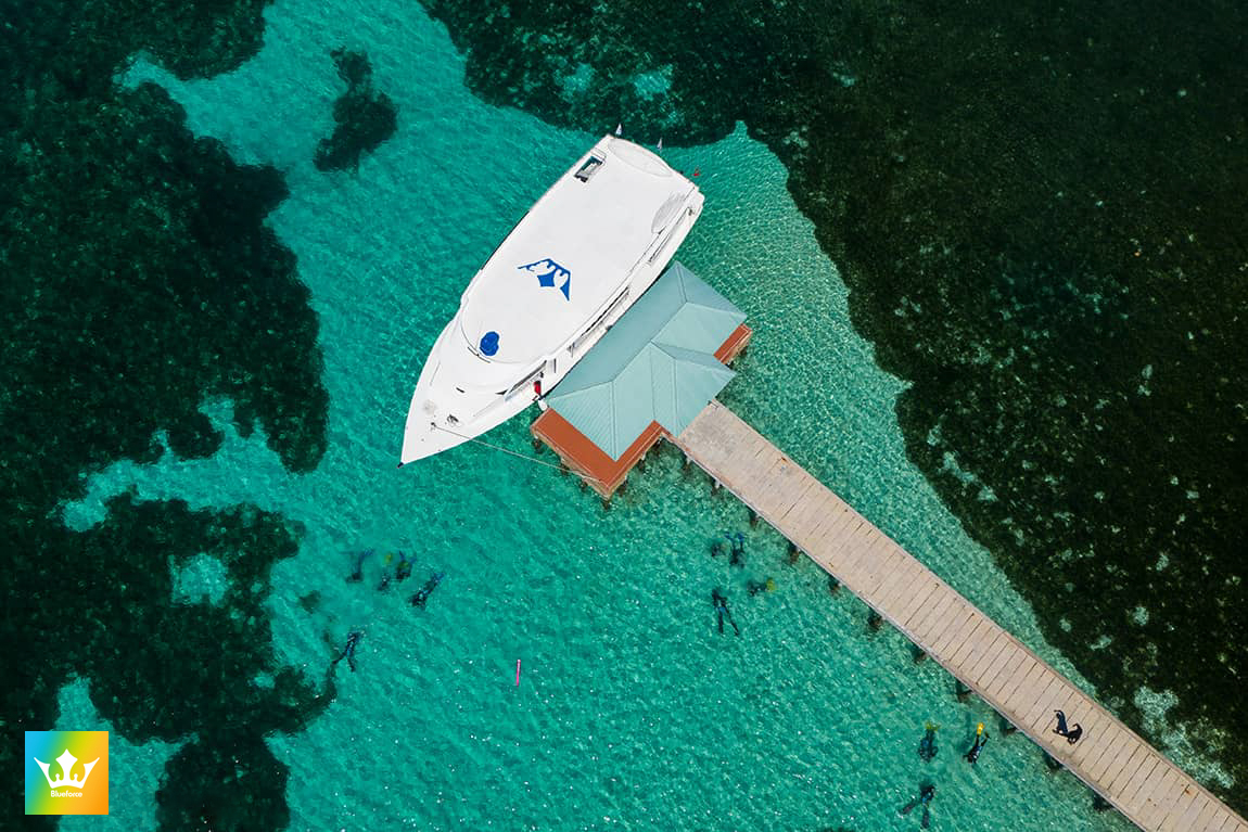 The dhoni. The perfect dive boat - Blue Force Fleet