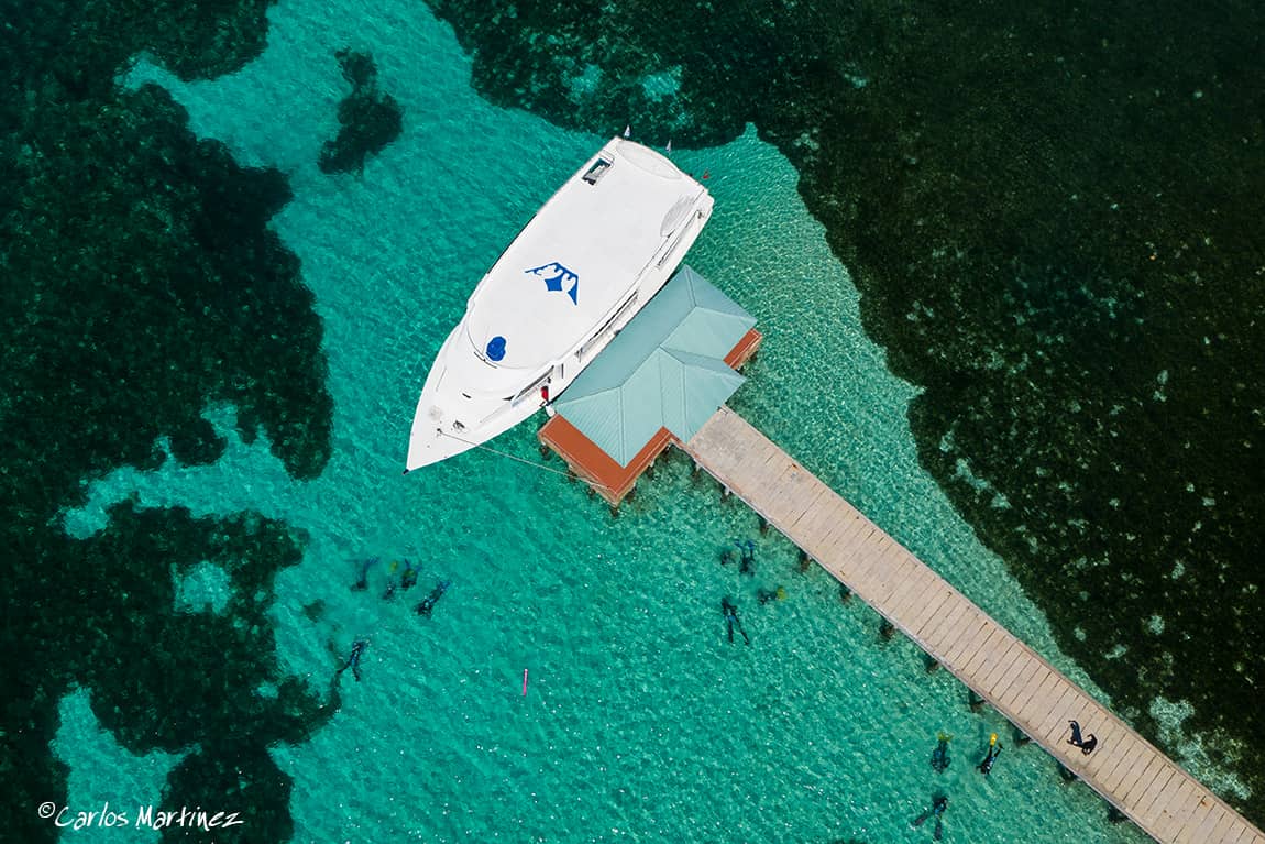 The dhoni. The perfect dive boat – Blue Force Fleet