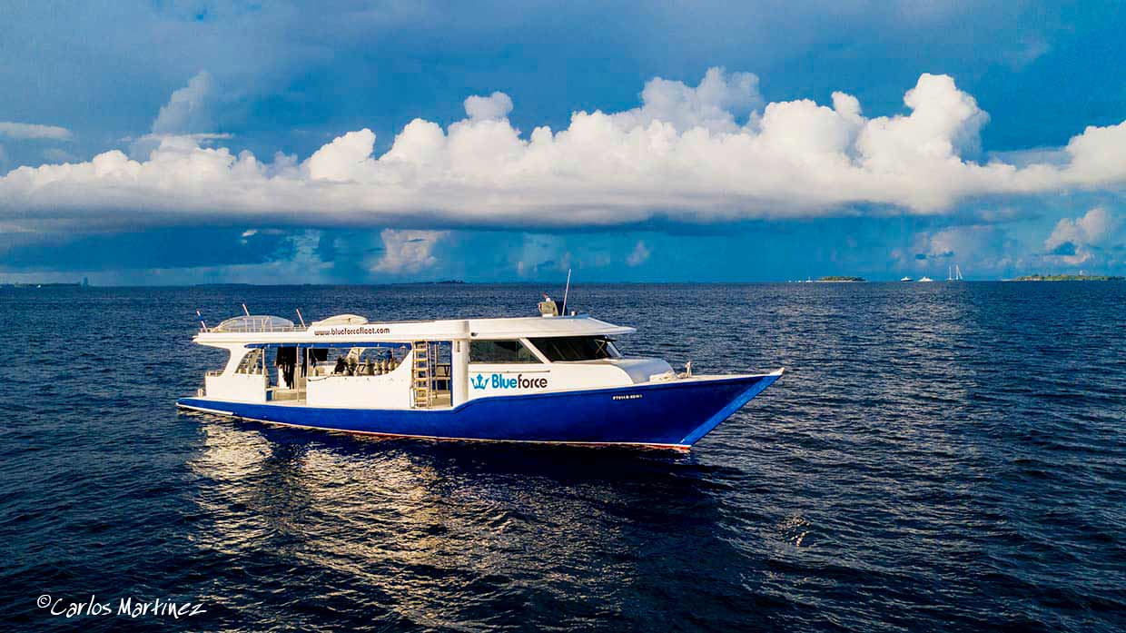 The dhoni. The perfect dive boat - Blue Force Fleet