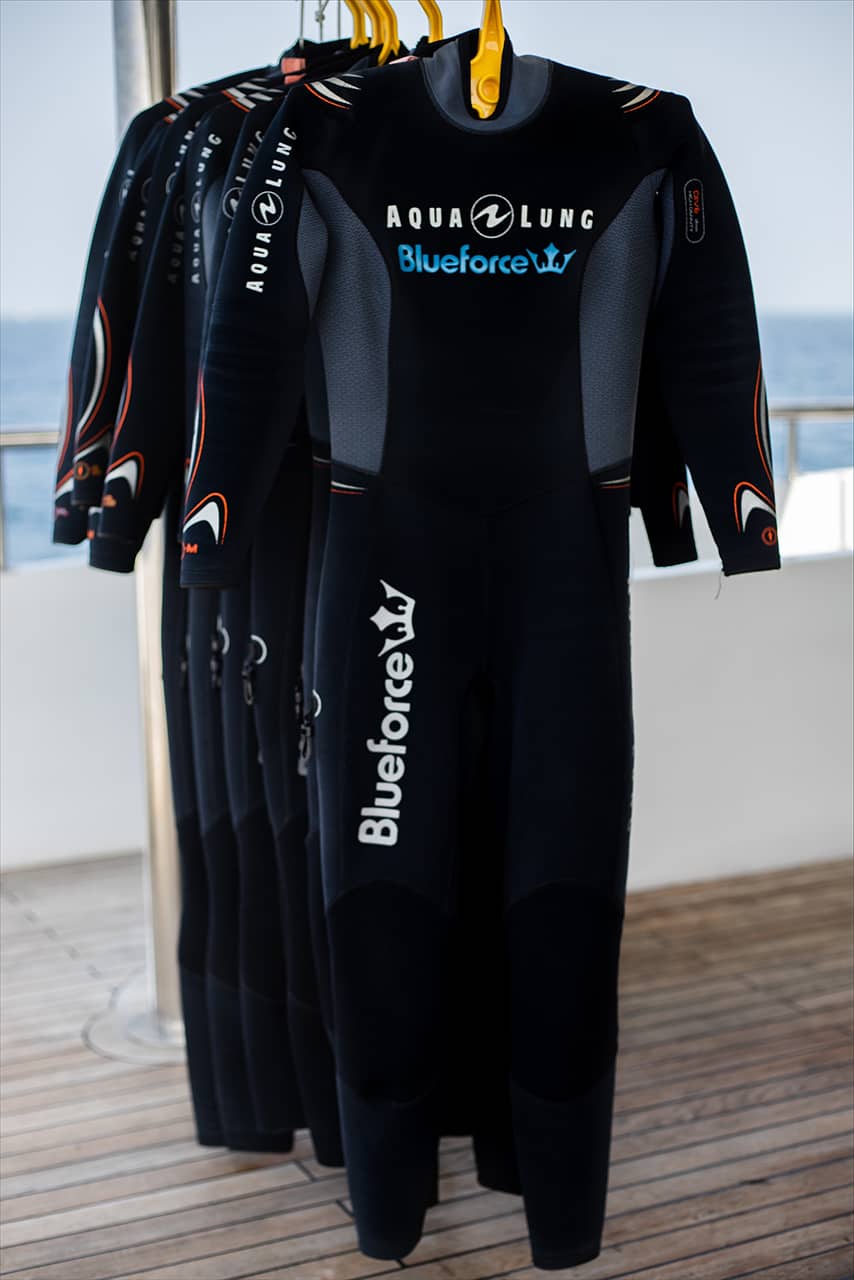 Los mejores trajes de buceo. ¿Cuál usamos en Blue Force Fleet? - Blue ...